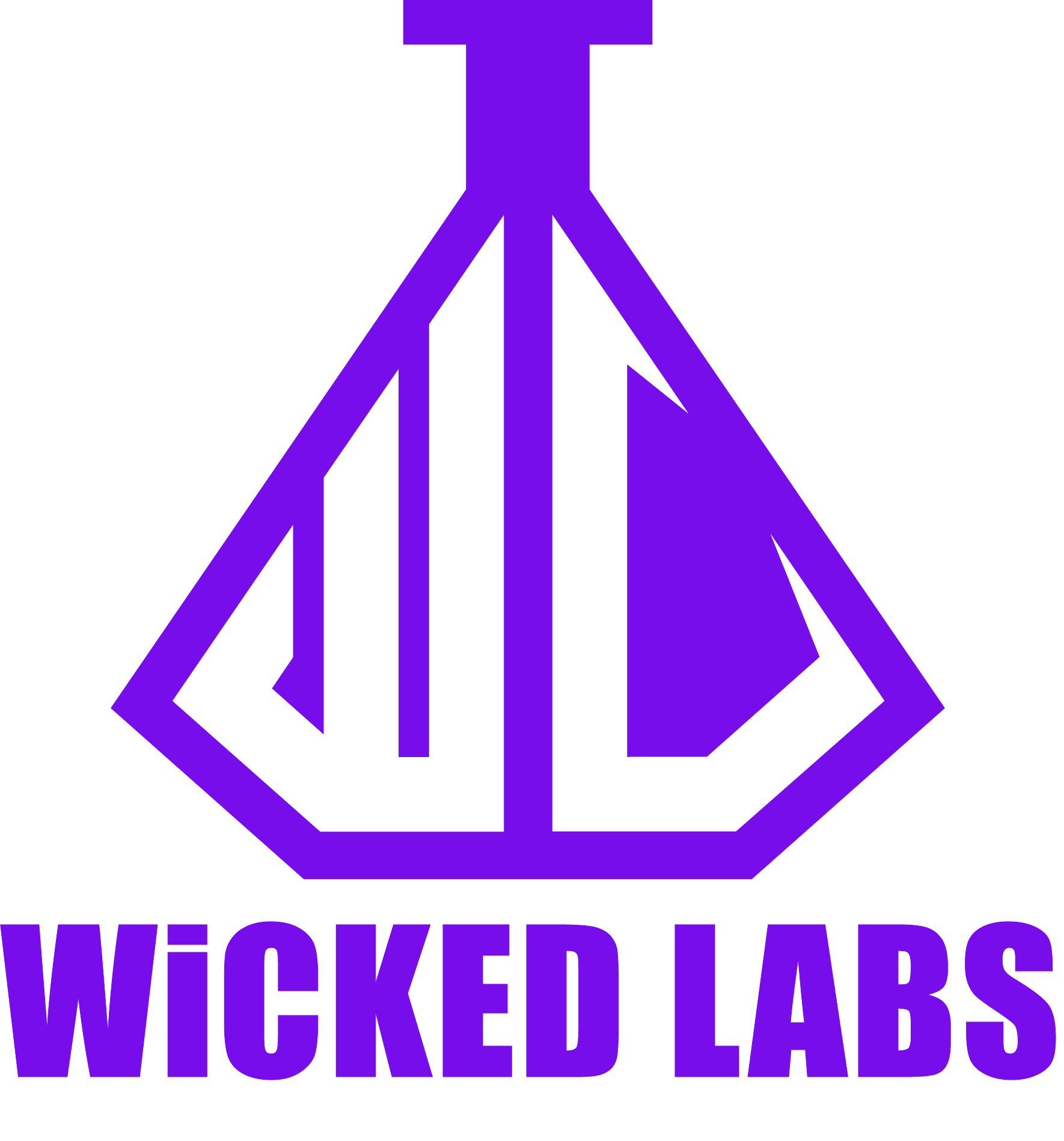 Custom PS5 & Xbox Controllers Australia | Custom Mods | WICKED LABS AU ...